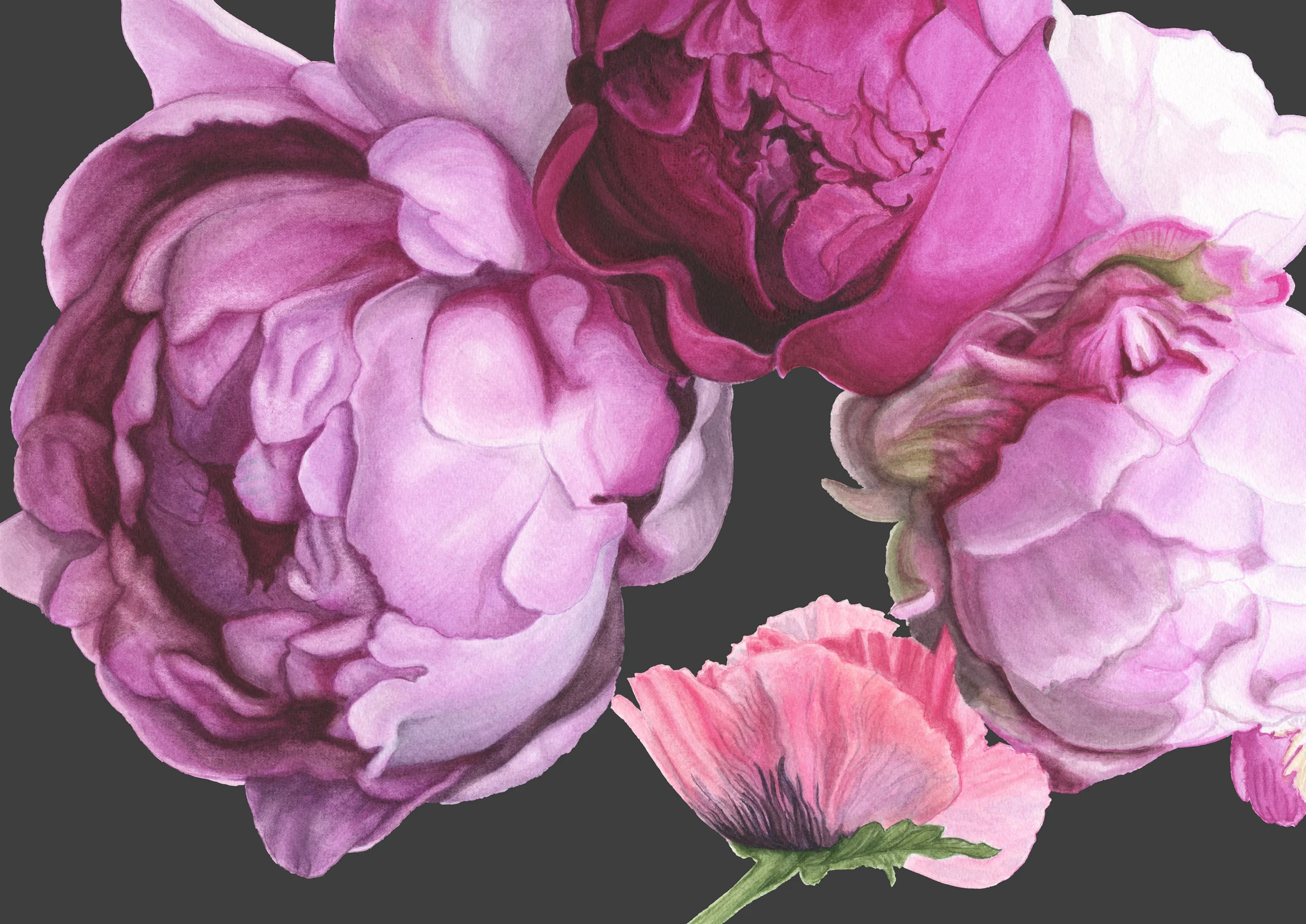 Cindy Pretorius Collection | Orms Print Room & Framing