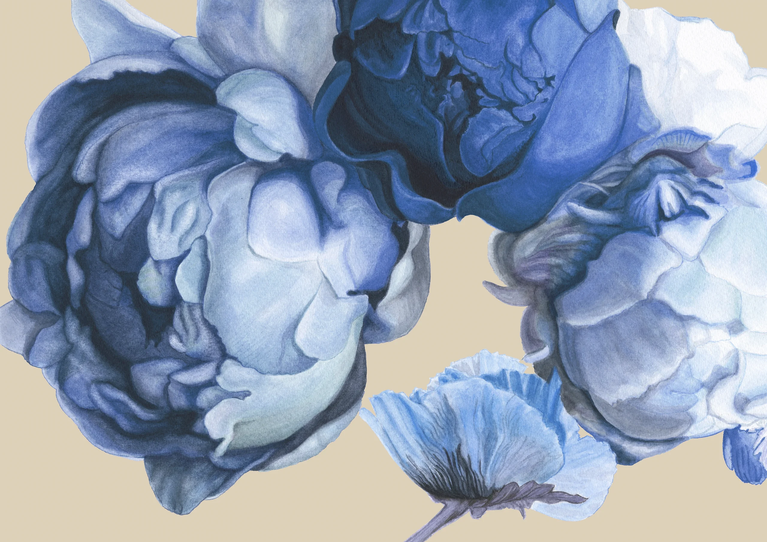 Cindy Pretorius Collection | Orms Print Room & Framing