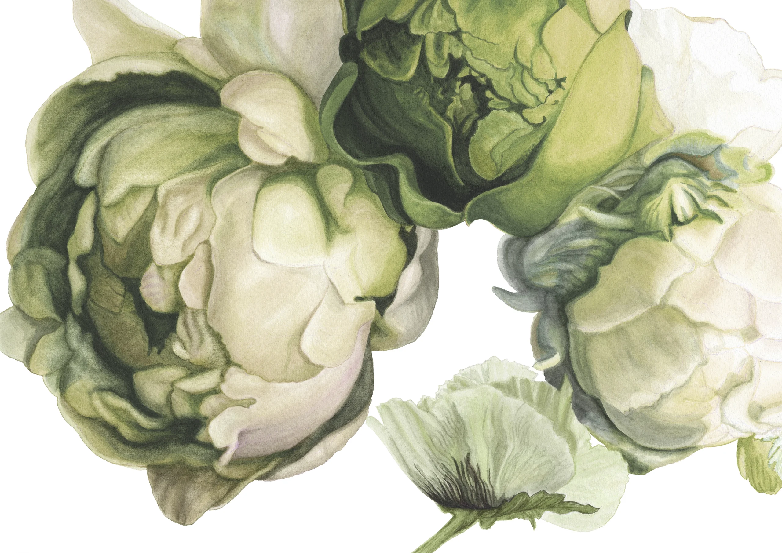 Cindy Pretorius Collection | Orms Print Room & Framing