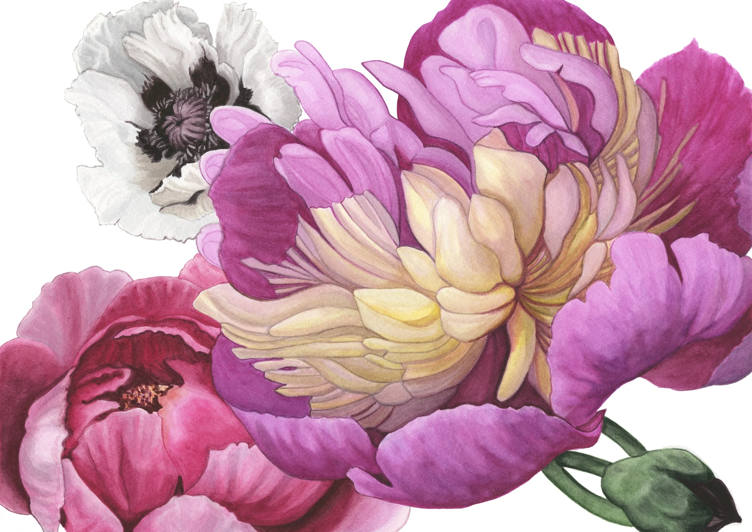 Cindy Pretorius Collection | Orms Print Room & Framing