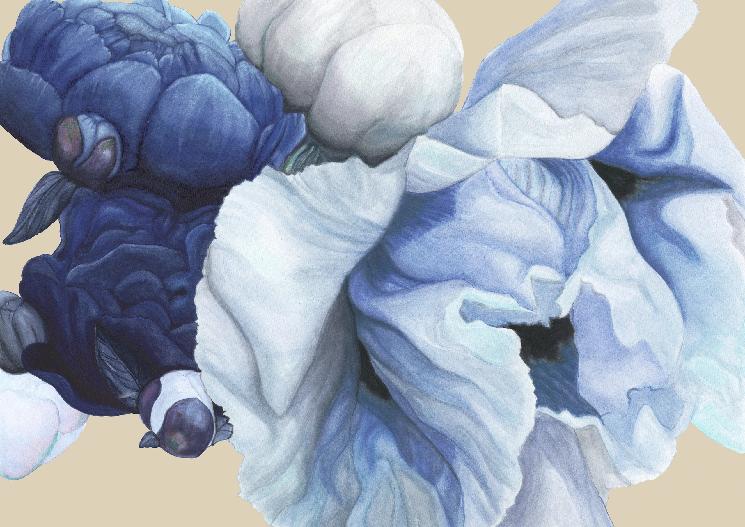 Cindy Pretorius Collection | Orms Print Room & Framing