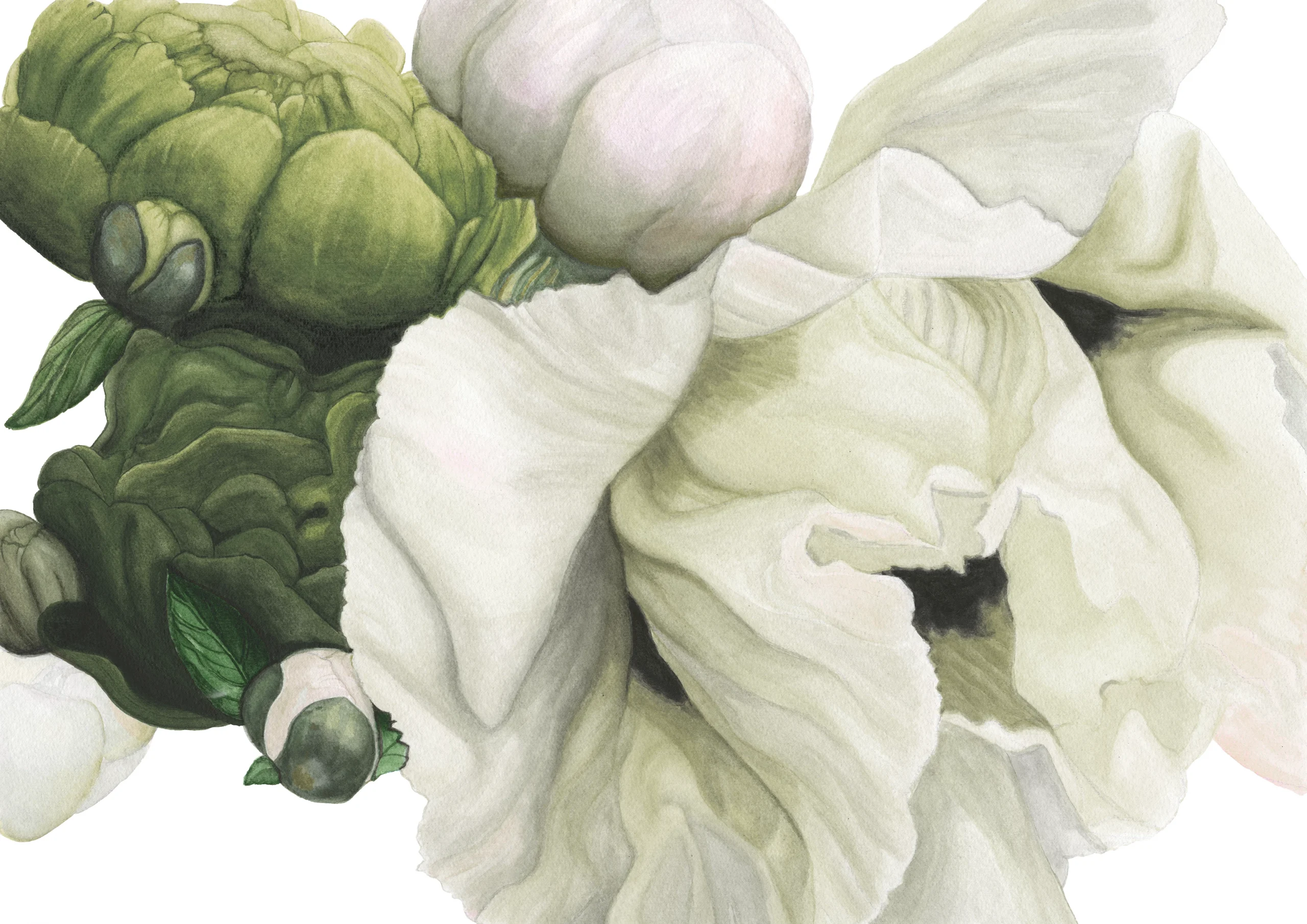 Cindy Pretorius Collection | Orms Print Room & Framing