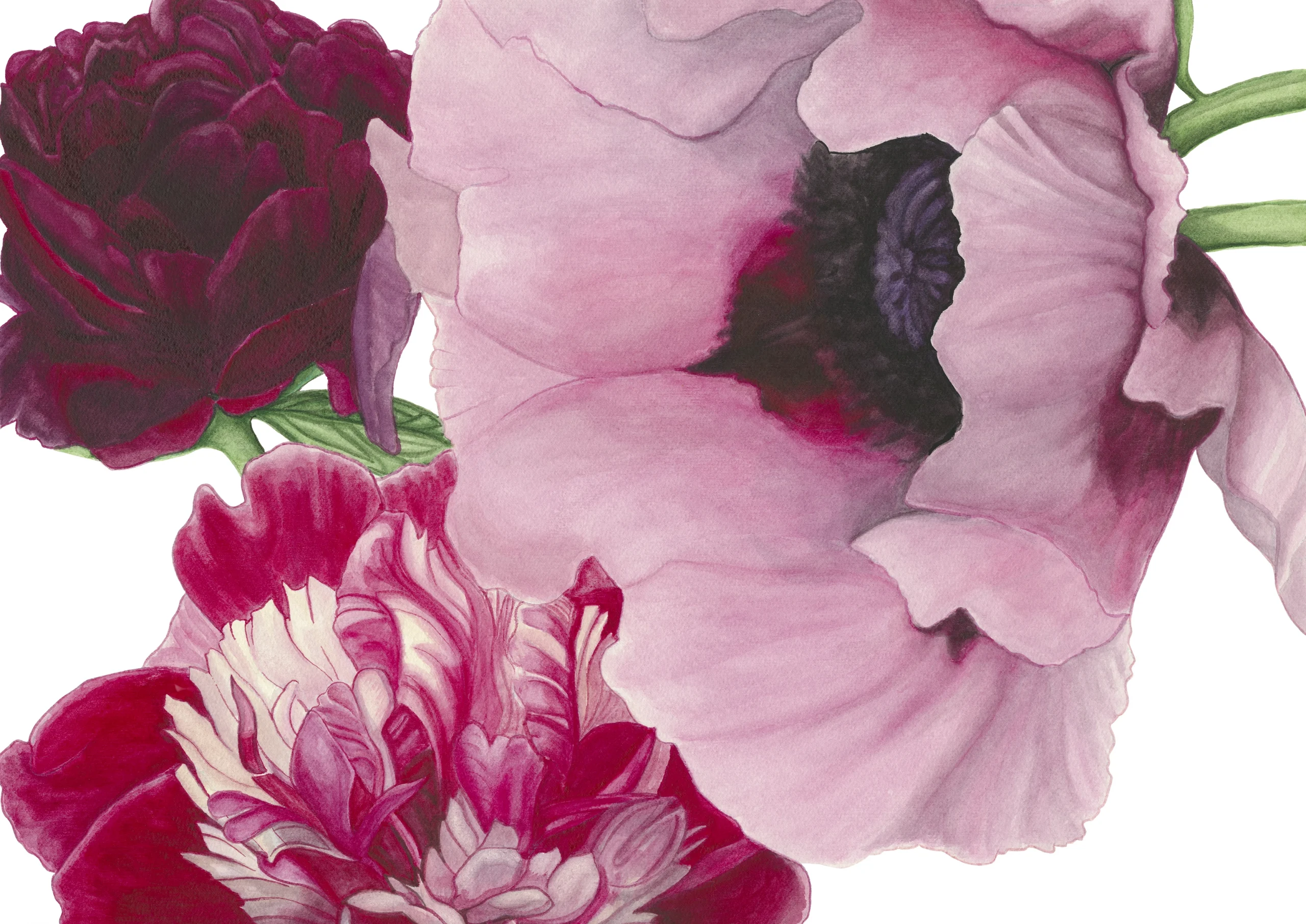 Cindy Pretorius Collection | Orms Print Room & Framing