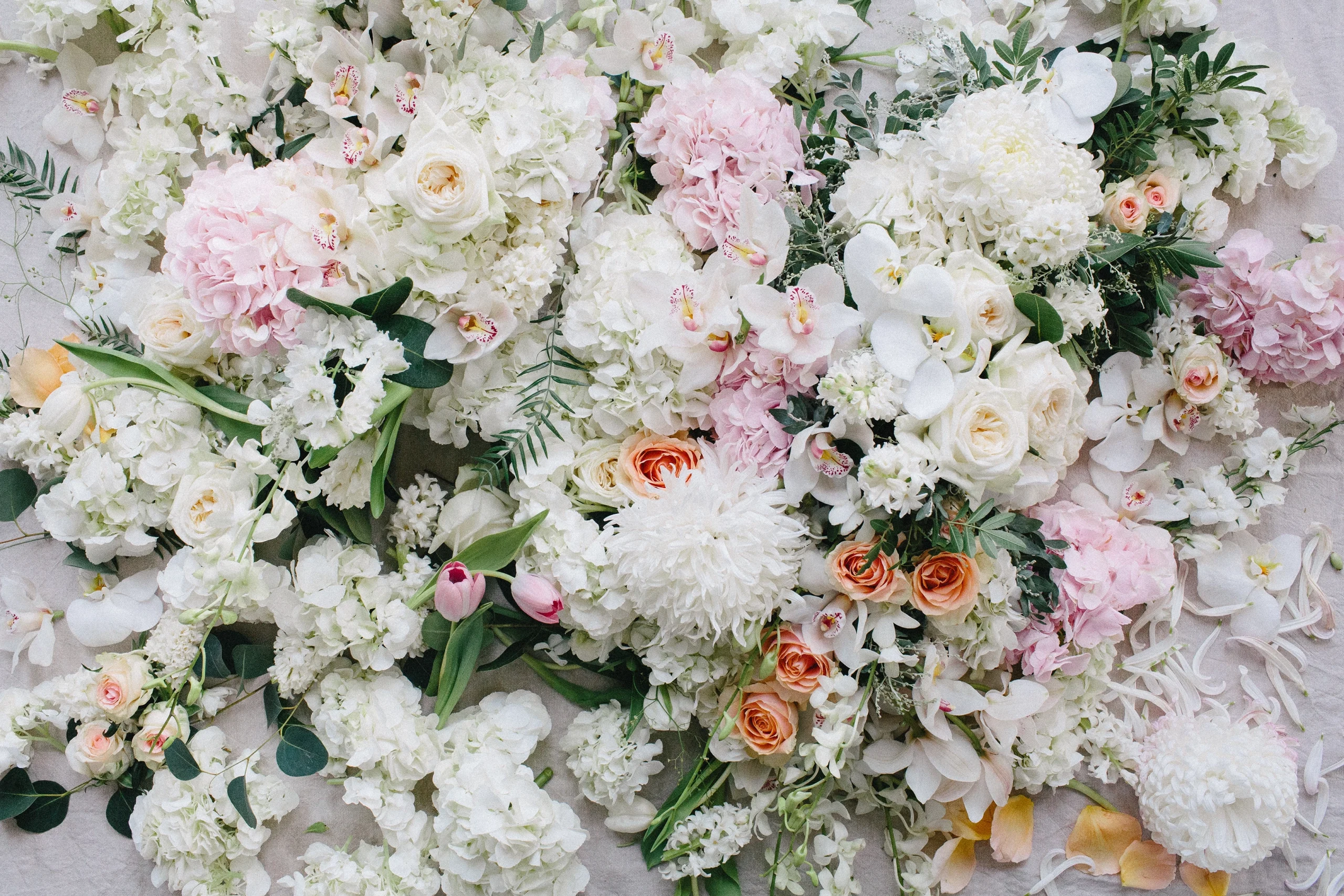 Fleur Le Cordeur Collection | Orms Print Room & Framing