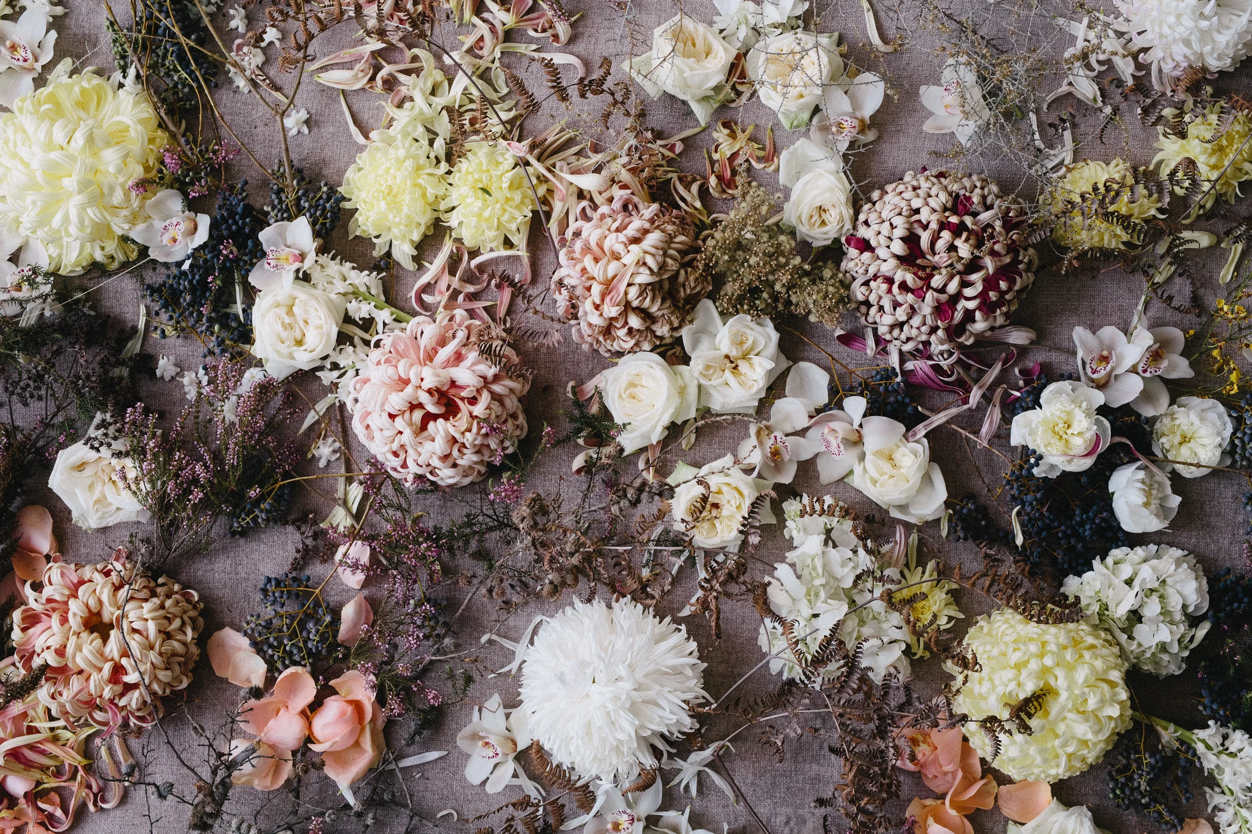 Fleur Le Cordeur Collection | Orms Print Room & Framing